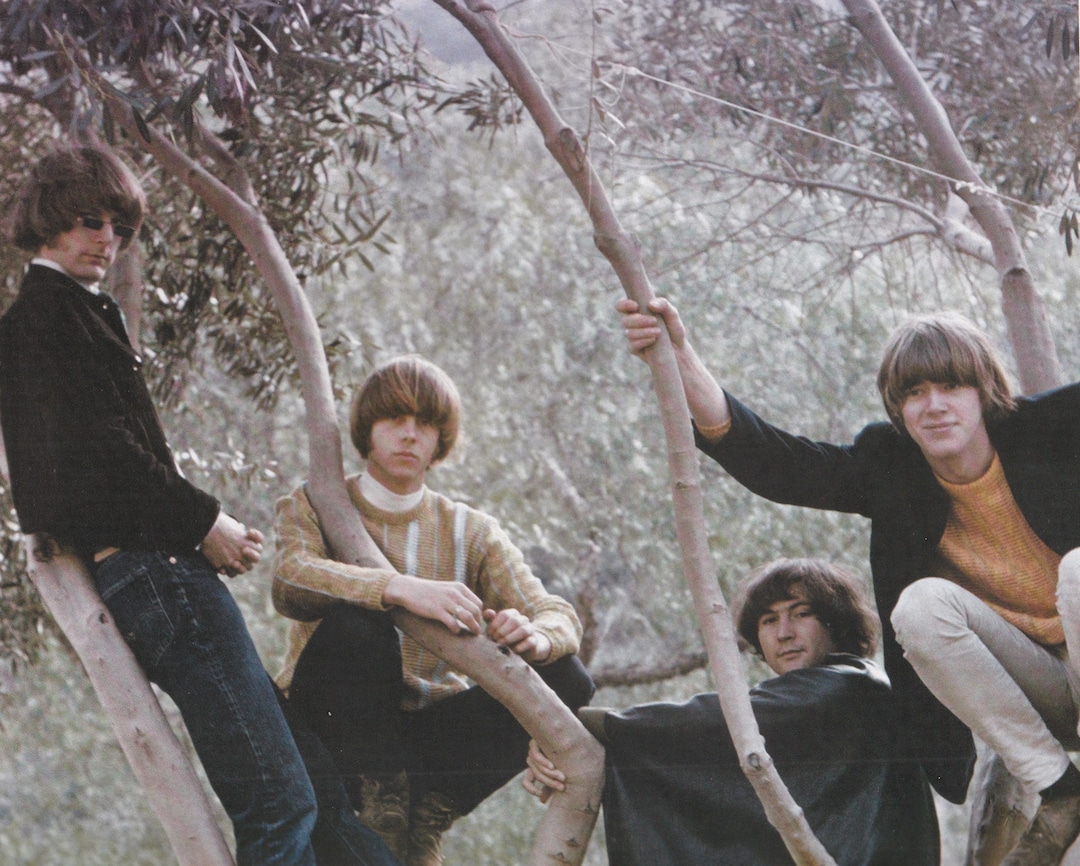 Original Vintage Mini Poster / Magazine Clipping - the Byrds, Los ...