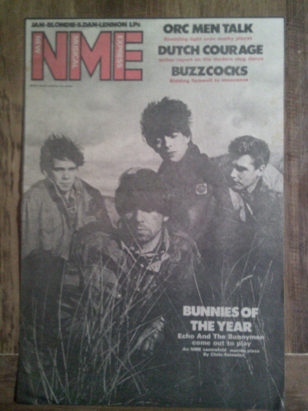 Original Vintage Mini Poster / Newspaper Clipping Echo and the Bunnymen ...