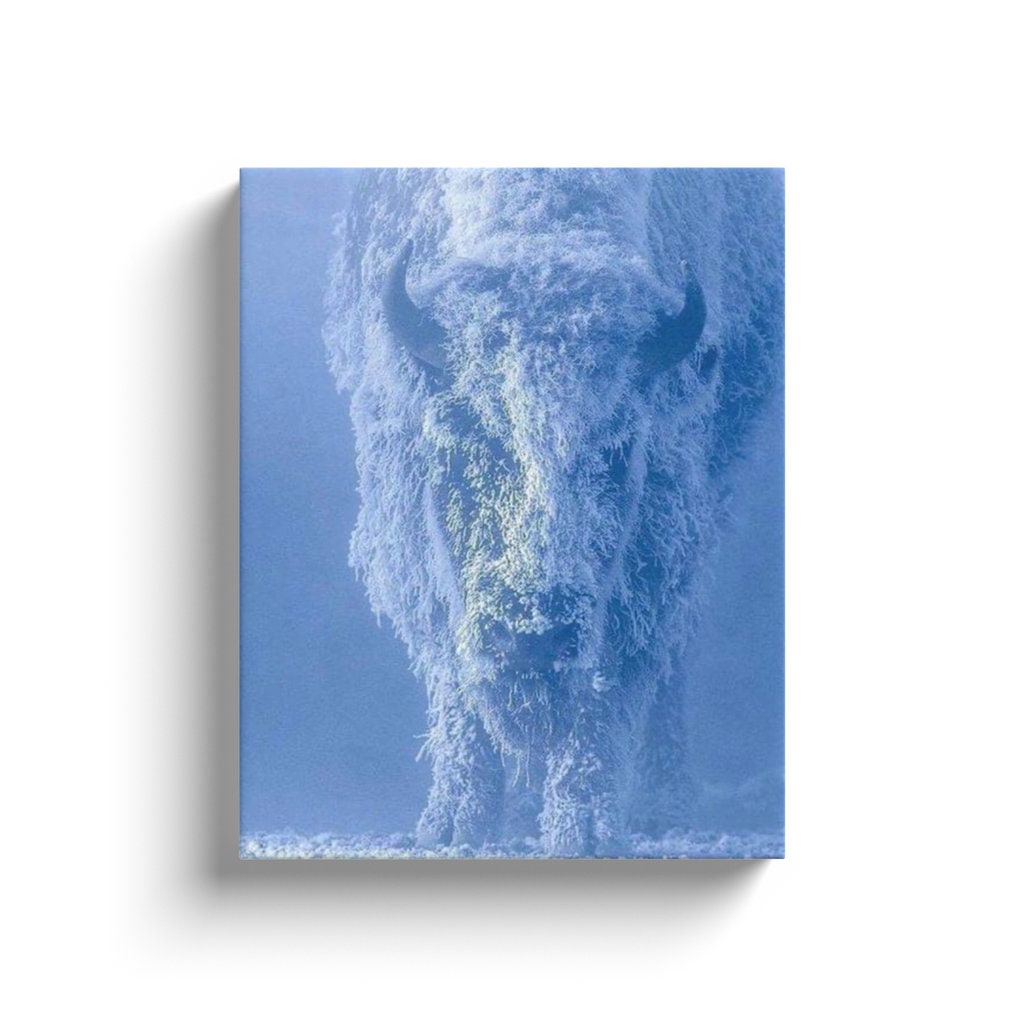 Frozen Bison - Etsy