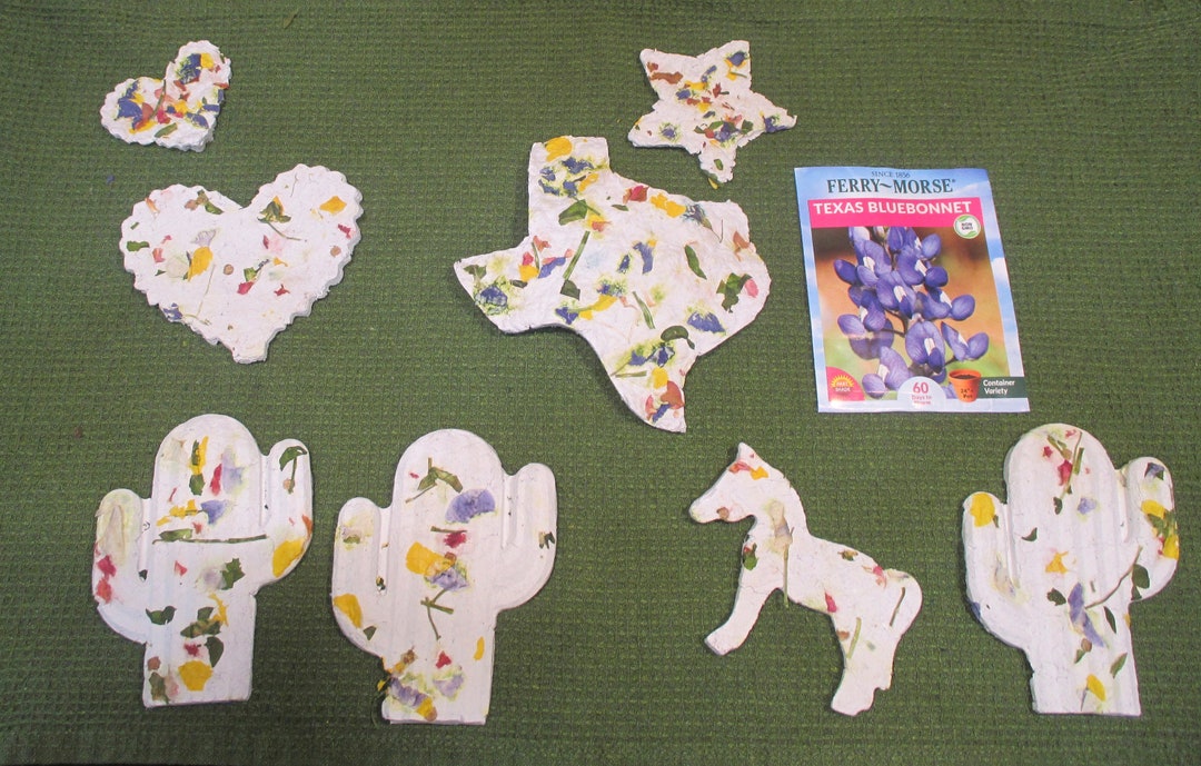 Bluebonnet Seeded Handmade Paper Decorated With Dried Flowers and in ...