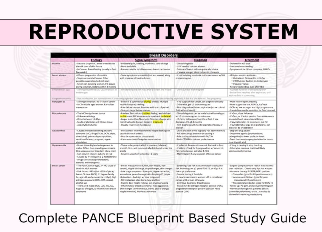 Reproductive System Complete Study Guide / PANCE Blueprint / OBGYN ...