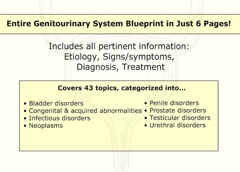 Genitourinary System Complete Study Guide / PANCE Blueprint / Chart ...