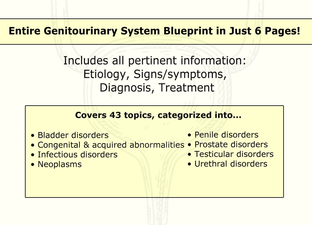 Genitourinary System Complete Study Guide / PANCE Blueprint / Chart ...