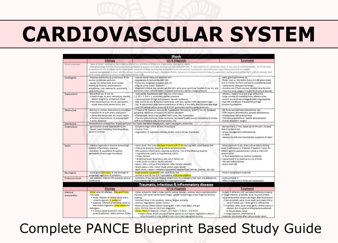 Cardiovascular System Complete Study Guide / PANCE Blueprint / Chart ...