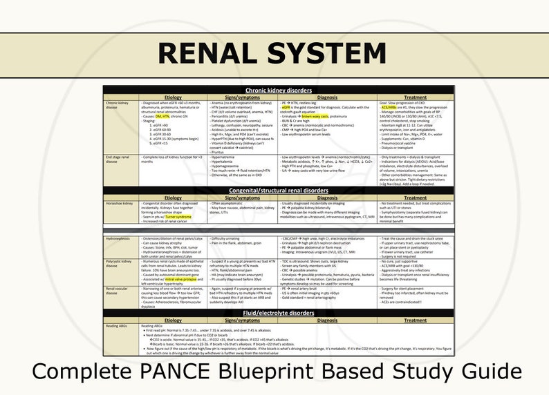 Renal System Complete Study Guide / PANCE Blueprint / Chart / Physician ...