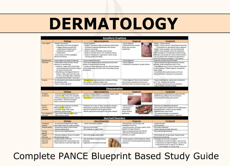 Dermatology Complete Study Guide / PANCE Blueprint / Chart / Physician ...