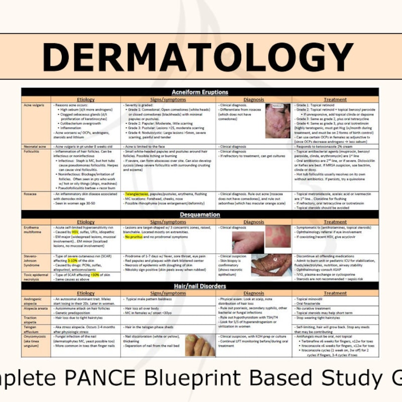 Dermatology Paper Guide - Etsy