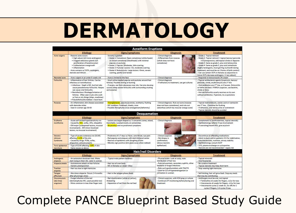 Dermatology Complete Study Guide / PANCE Blueprint / Chart / Physician ...