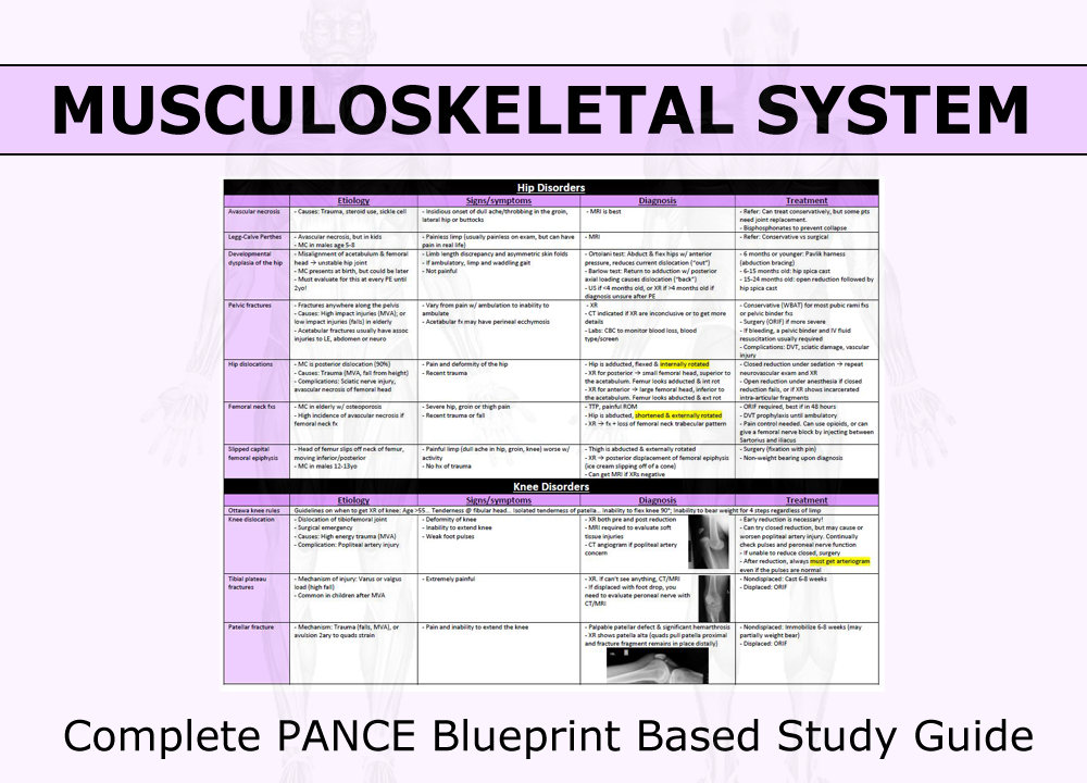 Musculoskeletal System Complete Study Guide / PANCE Blueprint / Chart ...