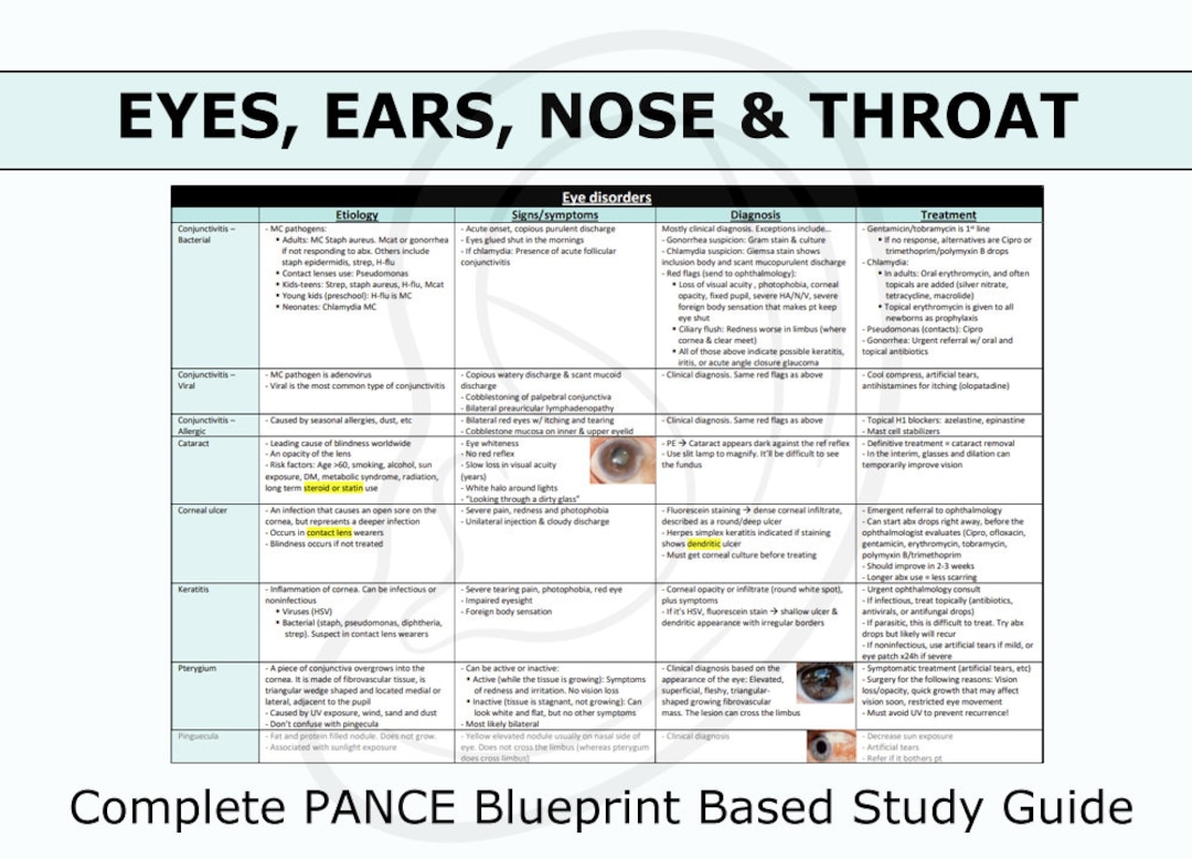 EENT Complete Study Guide / PANCE Blueprint / Chart / Physician ...
