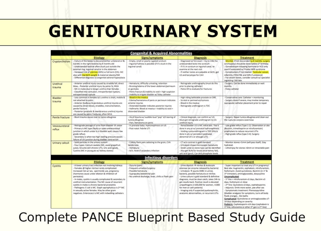 Genitourinary System Complete Study Guide / PANCE Blueprint / Chart ...