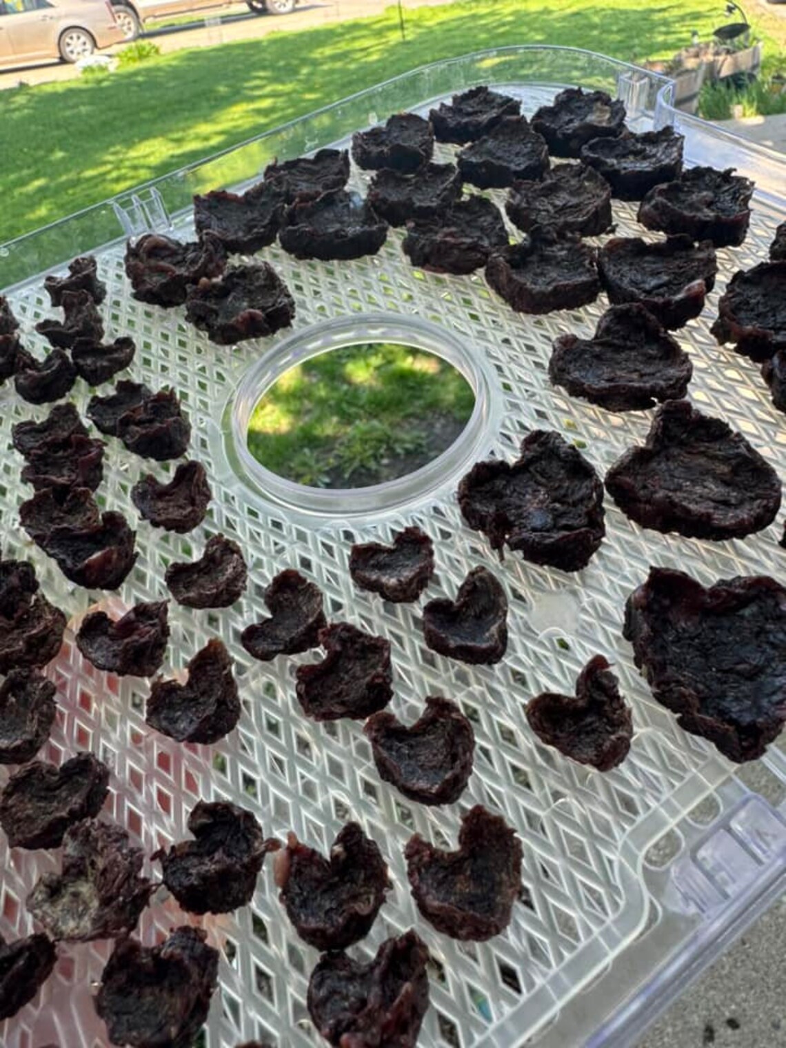 Dehydrated Roo Crisps kangaroo - Etsy