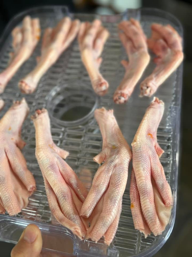 Dehydrated Duck Feet, Natural Dog Chews, Dehydrated Dog Treats - Etsy