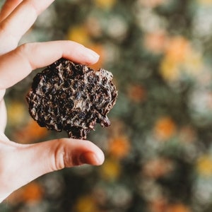 Dehydrated Roo Crisps (kangaroo) - Etsy