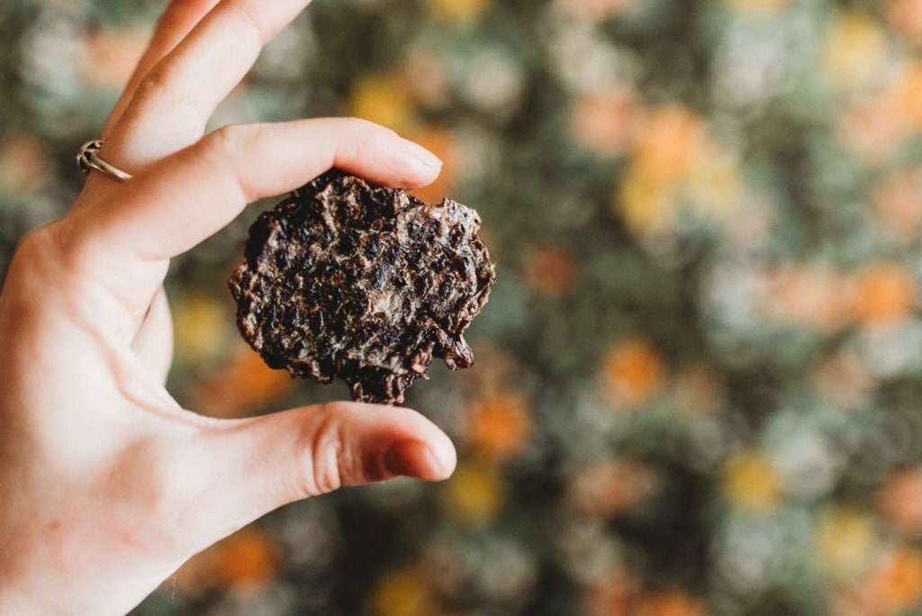 Dehydrated Roo Crisps kangaroo - Etsy