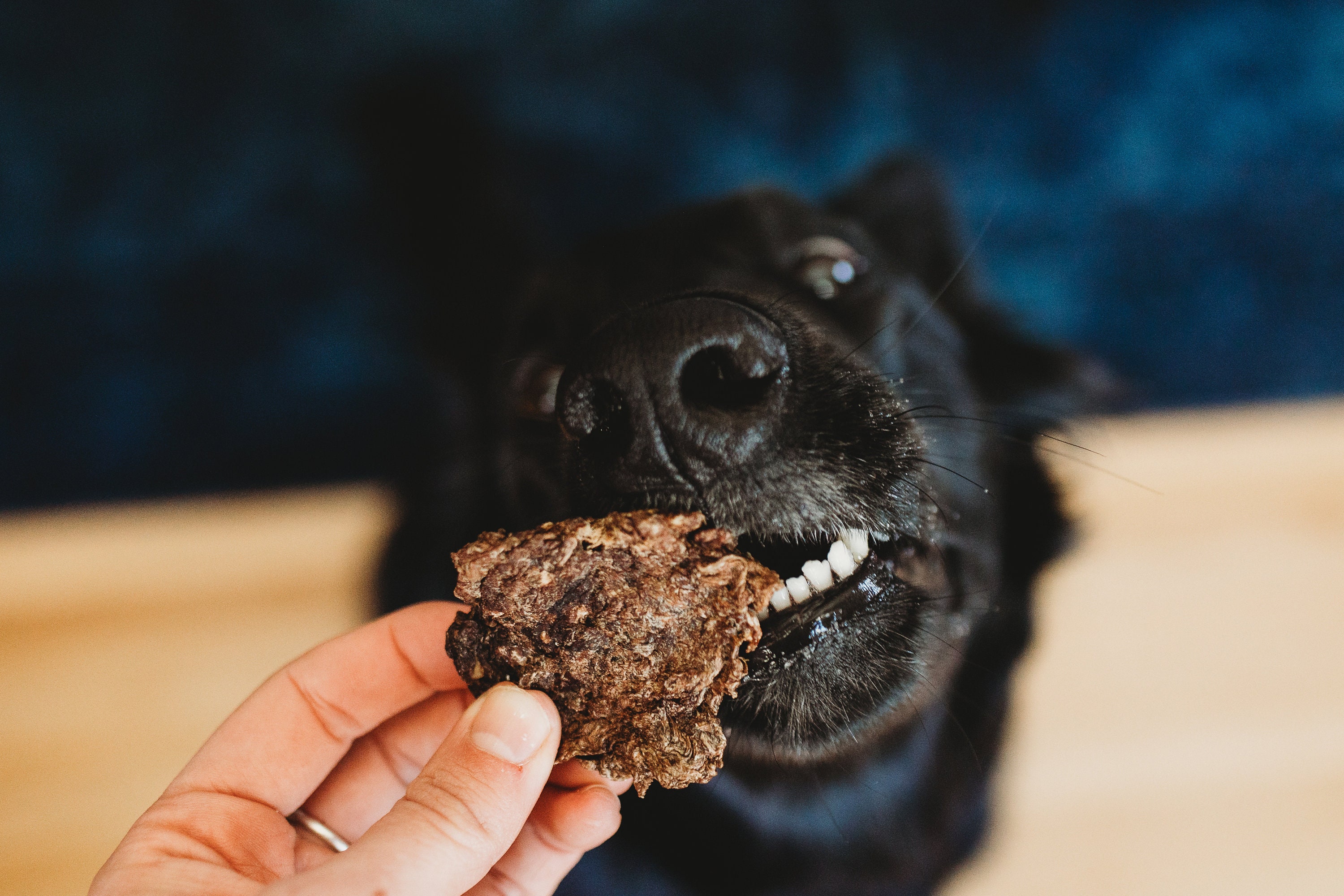 Dehydrated Roo Crisps (kangaroo) - Etsy
