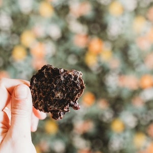 Dehydrated Roo Crisps (kangaroo) - Etsy