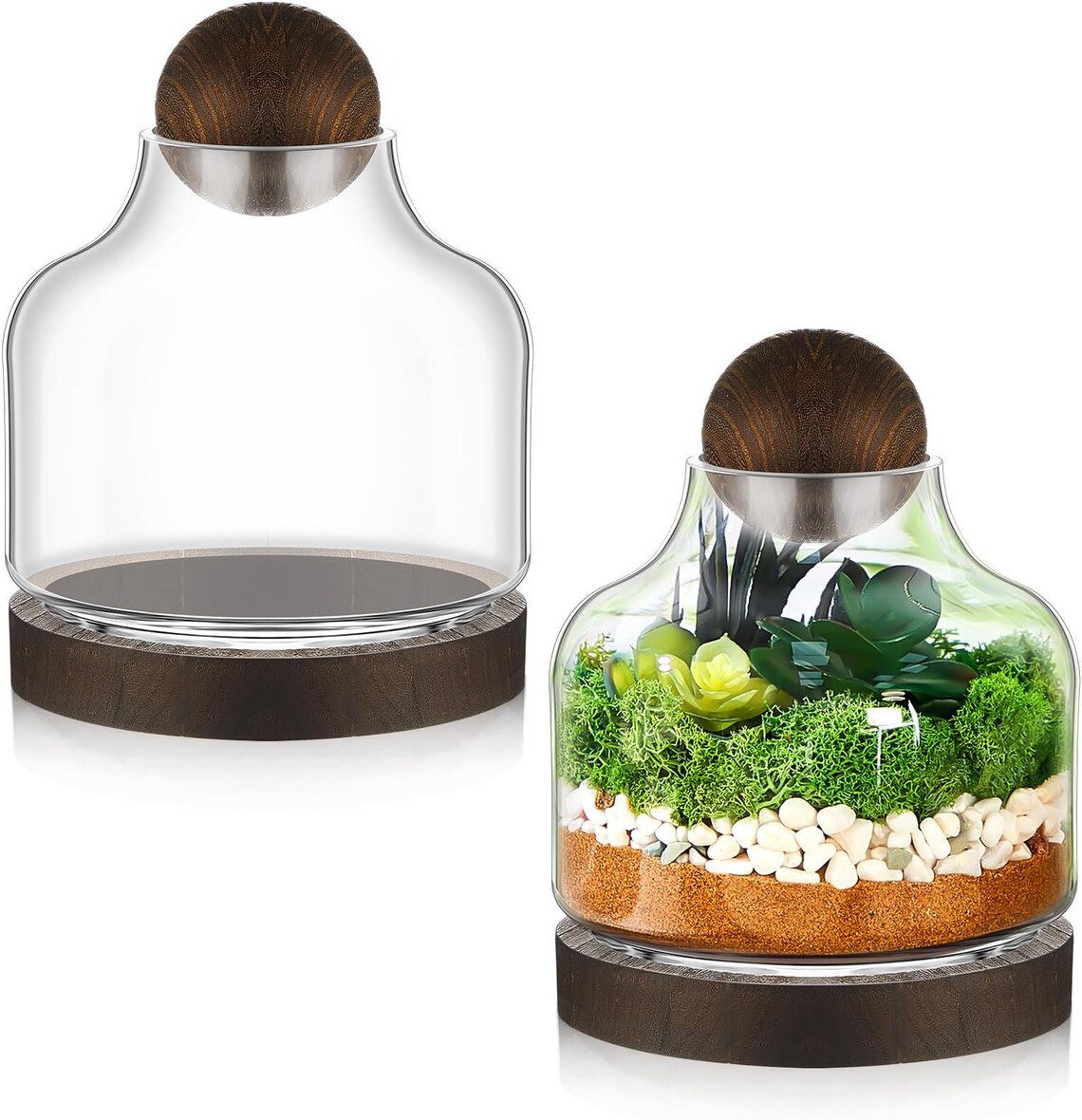 Ex-large Ball Top Terrarium on Dark Tung Wood Base - Unique Nature ...