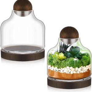 Ex-large Ball Top Terrarium on Dark Tung Wood Base - Unique Nature ...