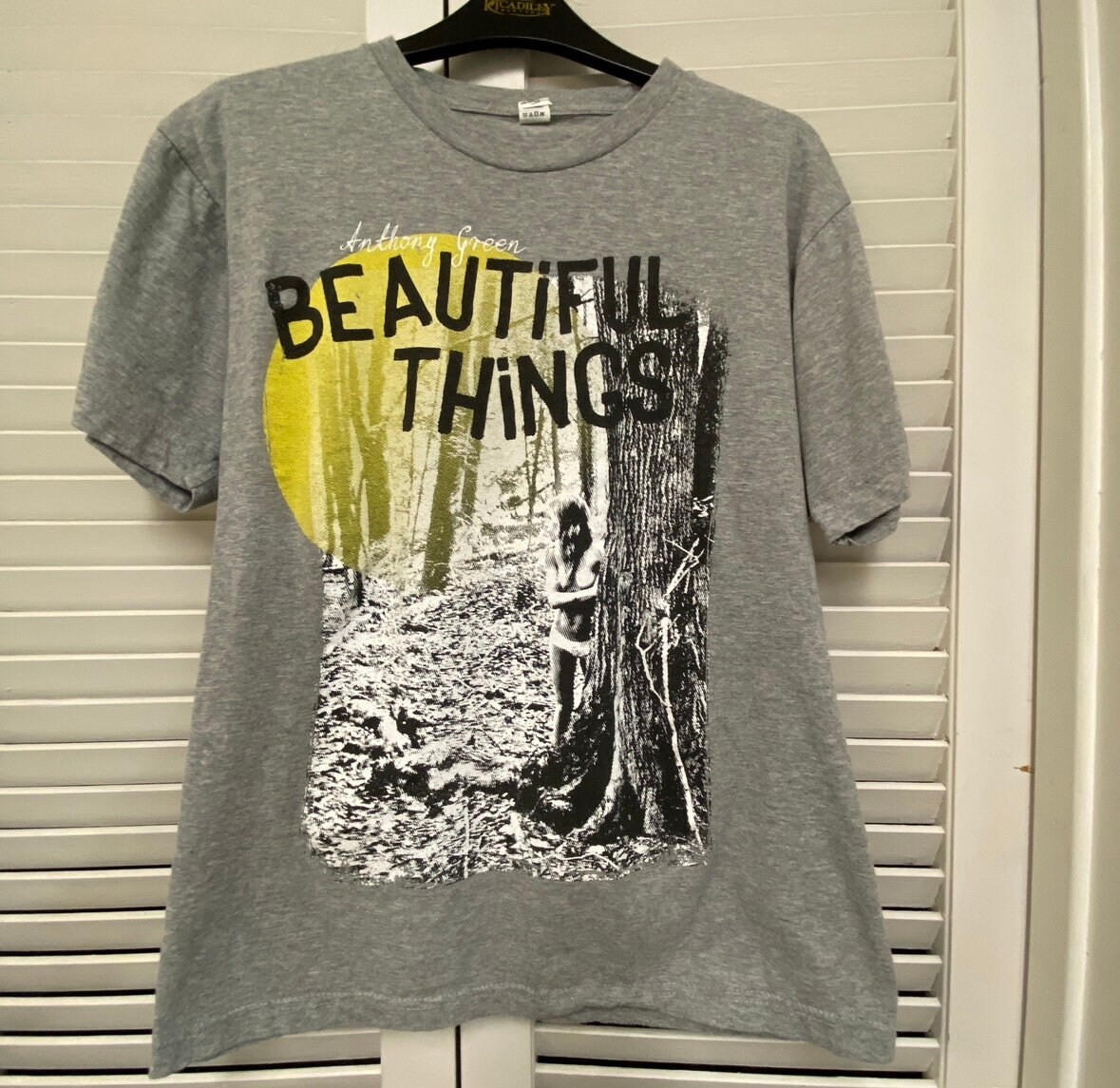Beautiful Things Anthony Green