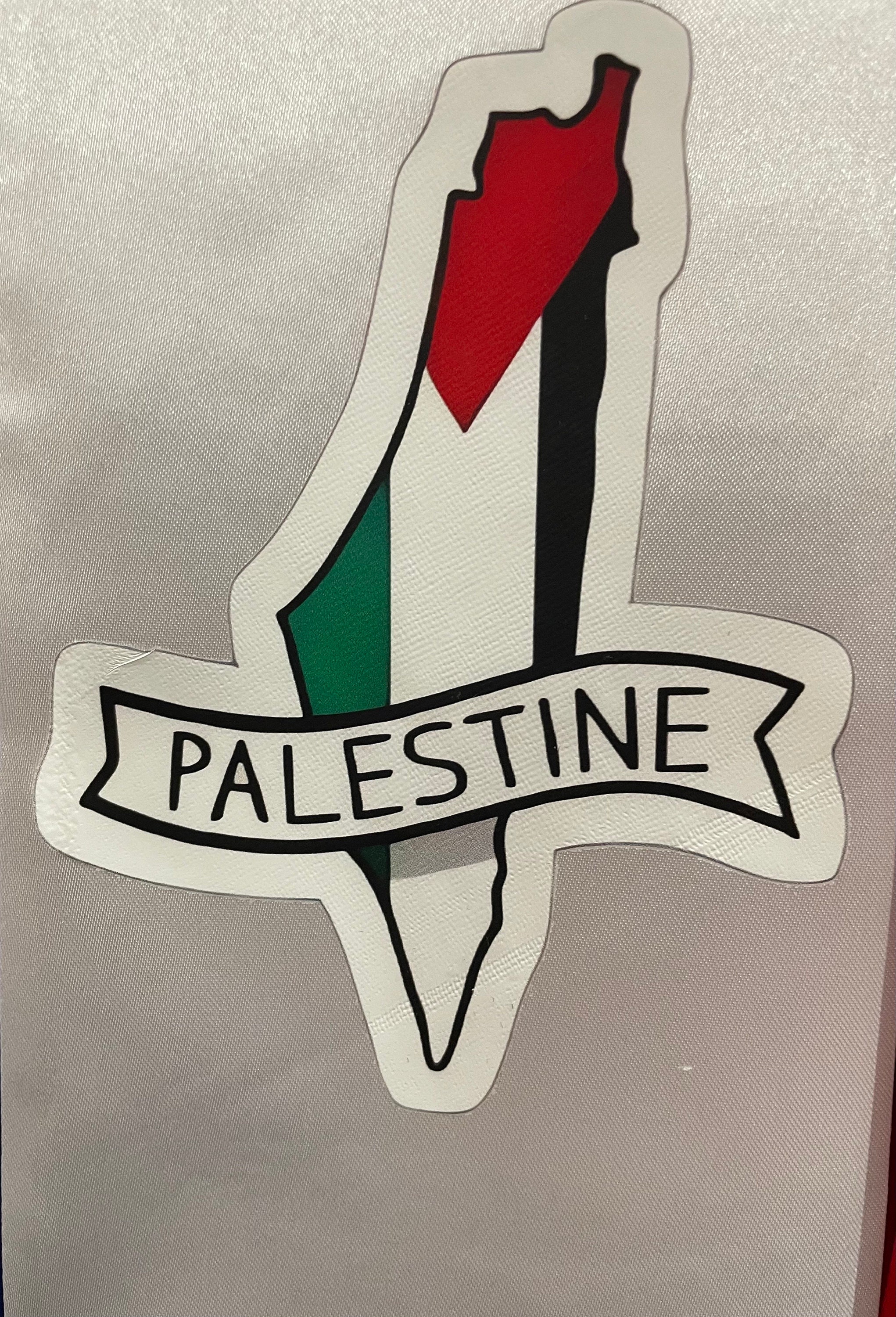 Palestine Flag Graduation Sash/stole International Study Abroad Adult ...
