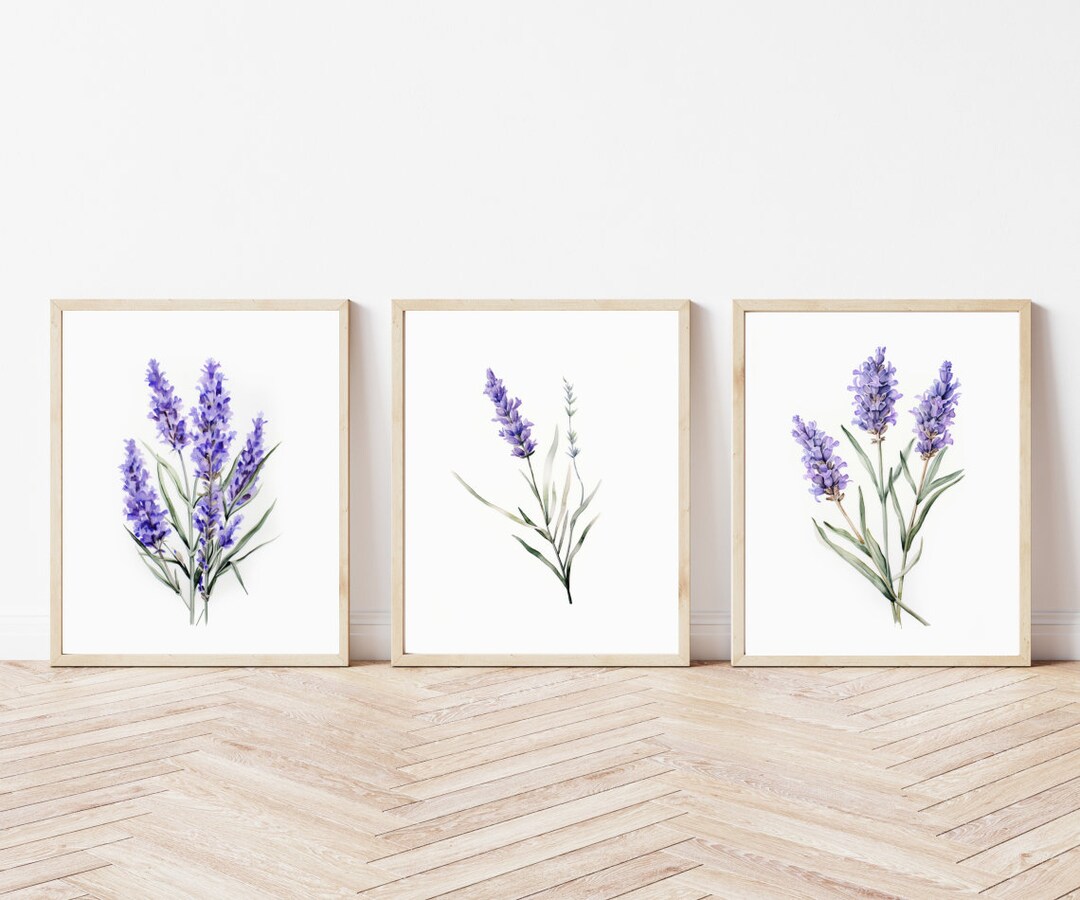 Lavender Plant Prints, Set of 3 | Botanical Wall Art Decor | Lavender ...