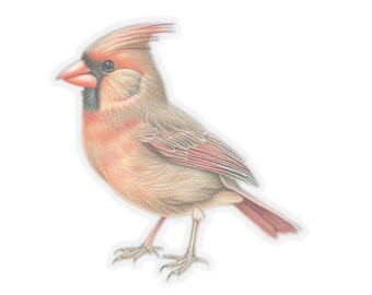 Female Northern Cardinal Sticker: Charming Colored Pencil Artwork - Etsy