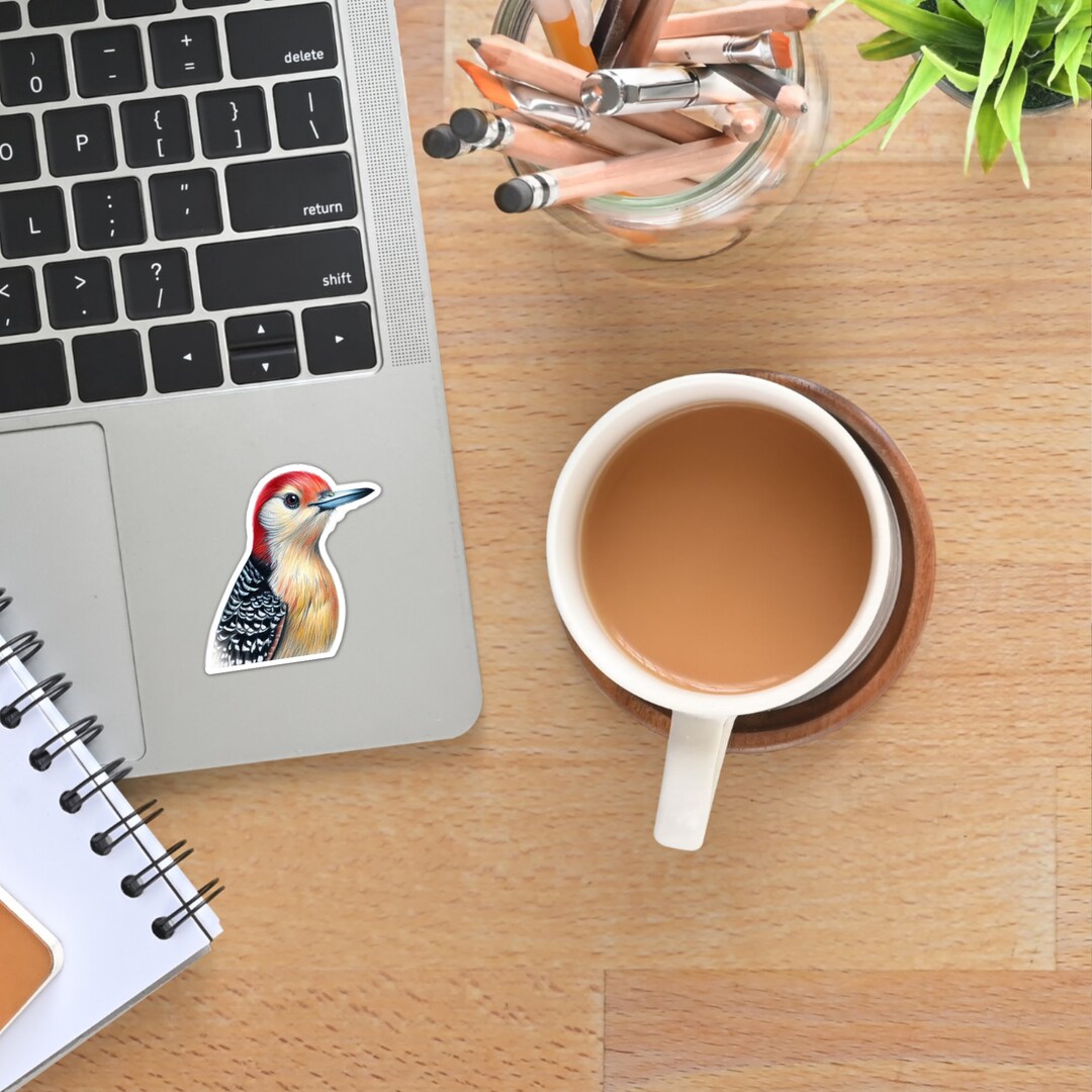 Red-bellied Woodpecker Profile Sticker, Vinyl Bird Decal - Etsy