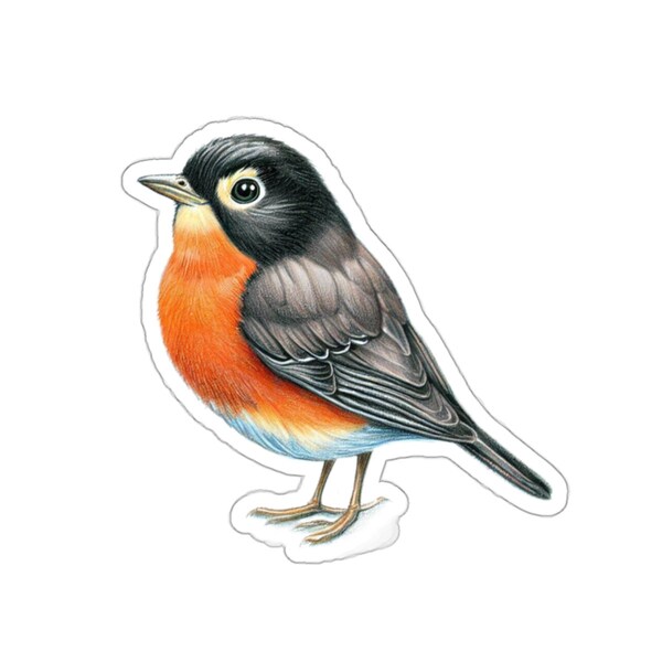 Robin Decal - Etsy