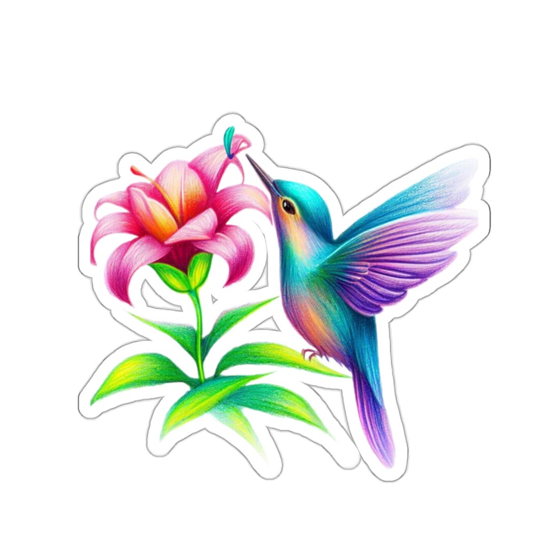 Colorful Hummingbird With Flower Sticker: Charming Colored Pencil ...