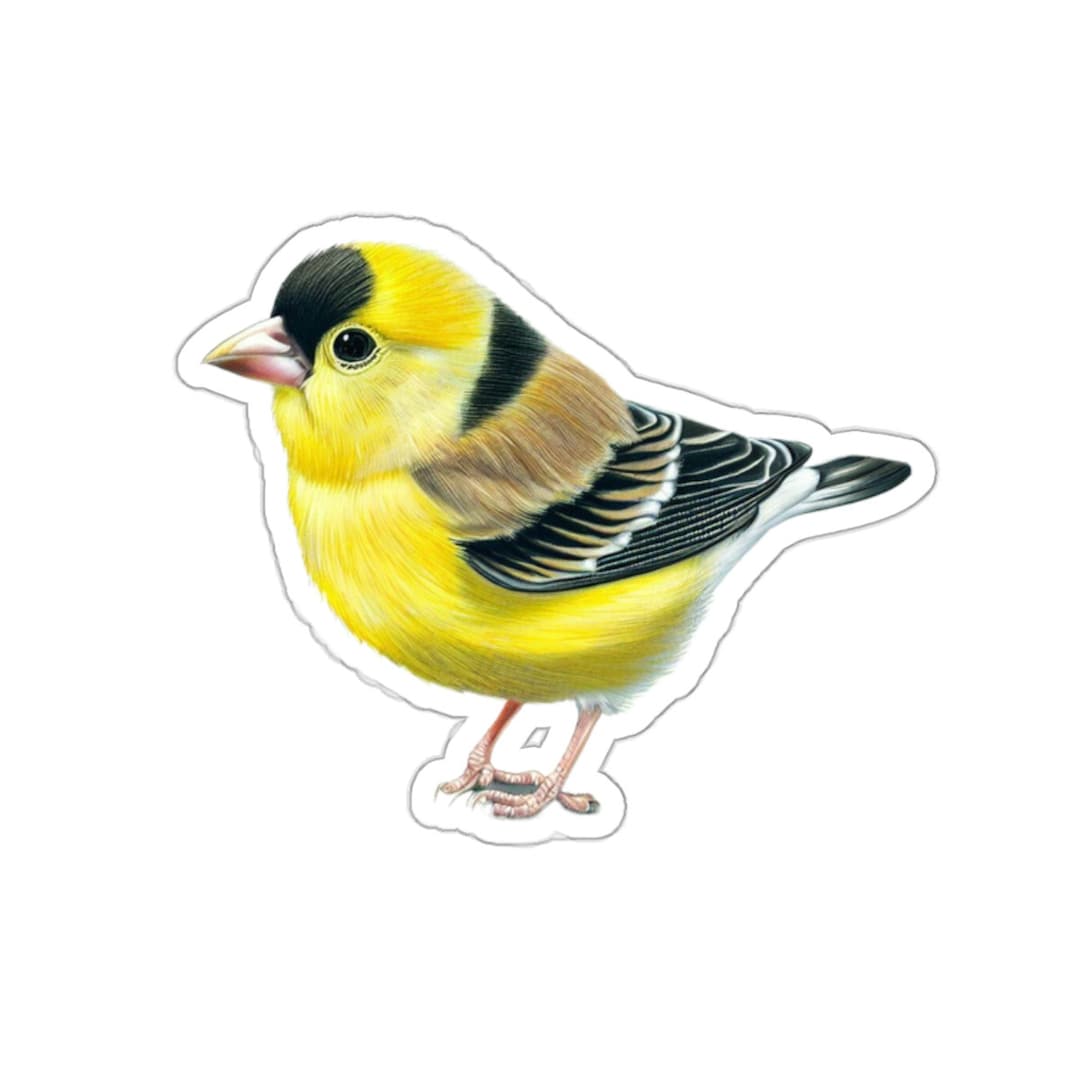 Goldfinch Sticker: Charming Colored Pencil Artwork - Etsy