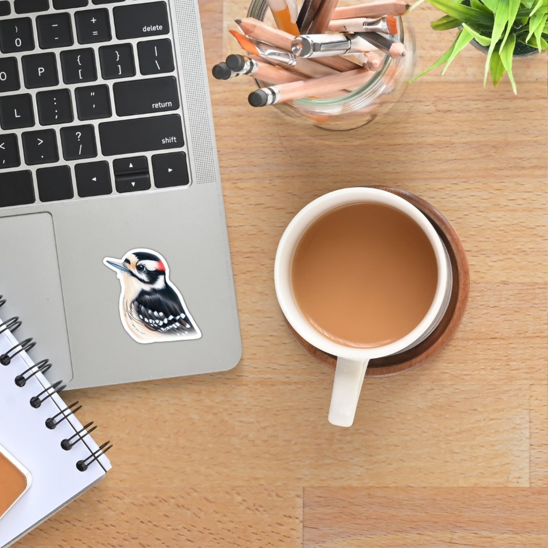 Downy Woodpecker Vinyl Sticker - Perfect for Bird Lover - Etsy