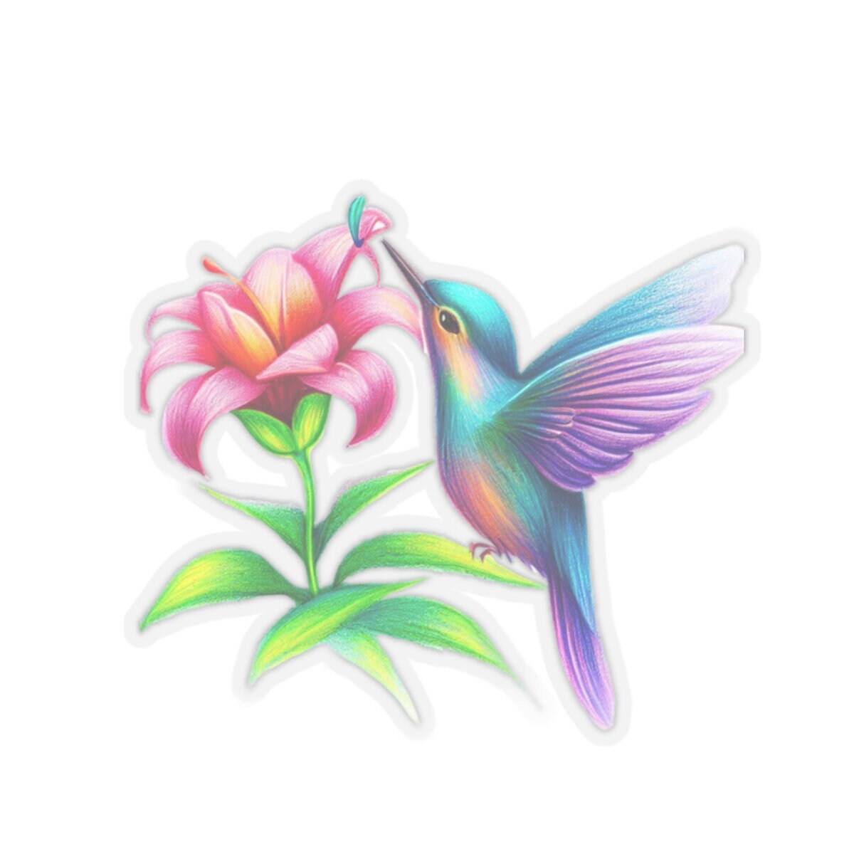 Colorful Hummingbird With Flower Sticker: Charming Colored Pencil ...