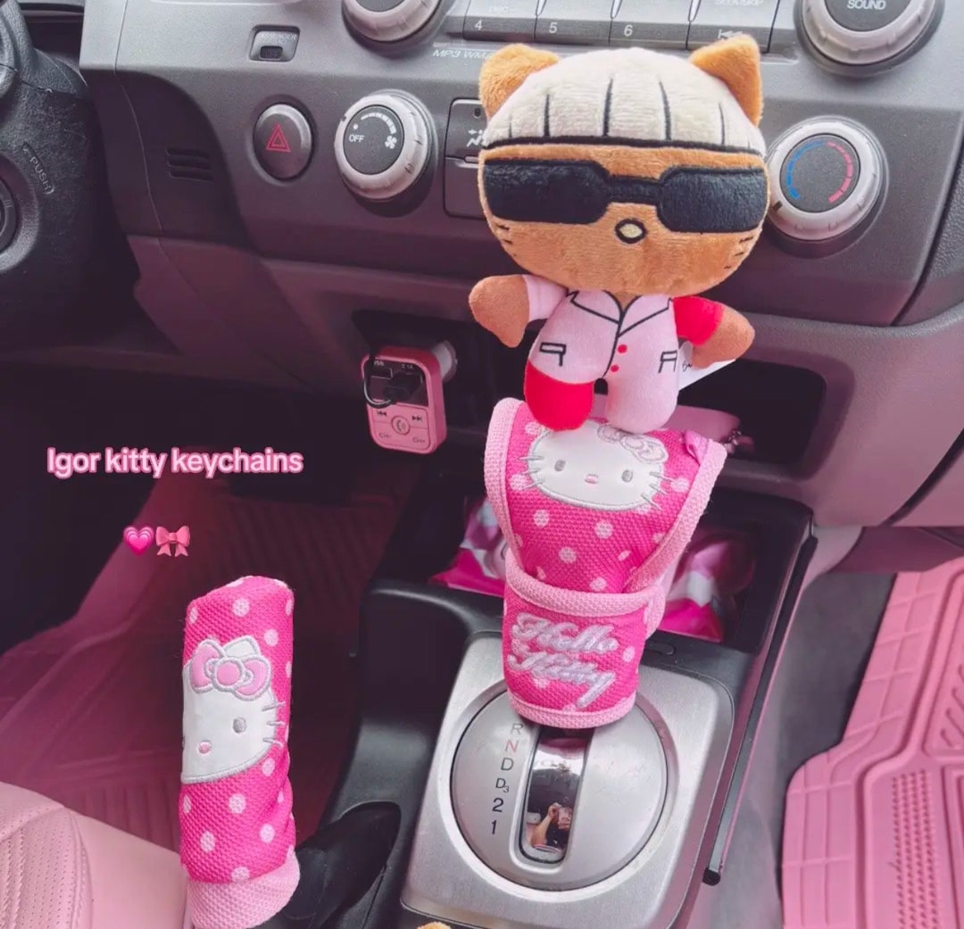 Tyler the Creator Kitty Plush Keychain, Kawaii Igor Plushie, Flower ...