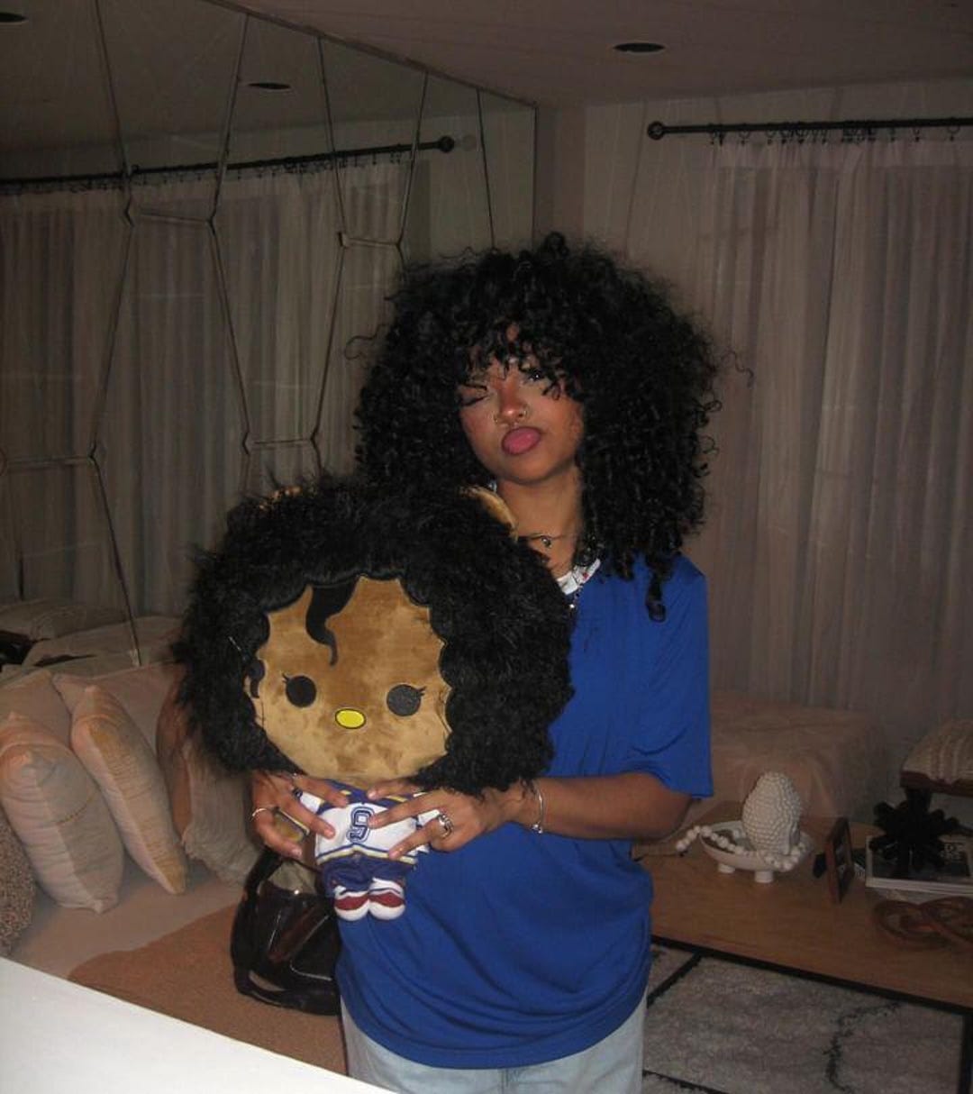 SOS SZA Artist Plush, Kawaii Sanrio Plushie, SZA Merch - Etsy UK