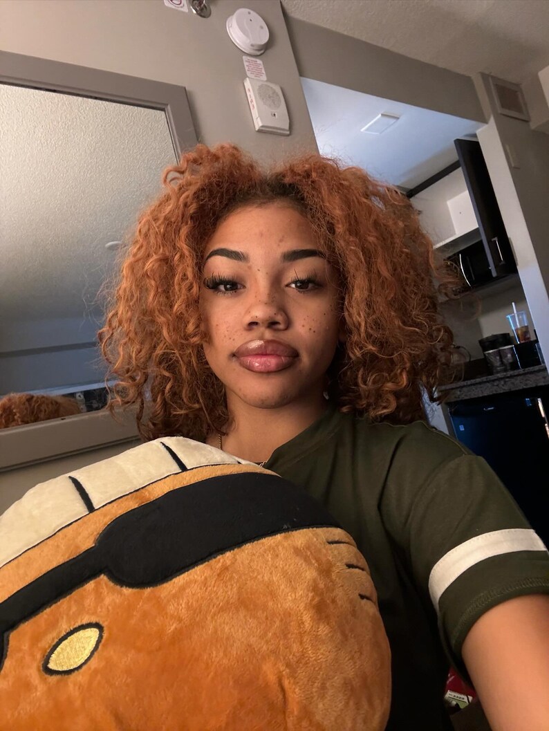 Custom 18 Inch Tyler the Creator igor Brown V2 Kitty Plush Toy, Kitty ...