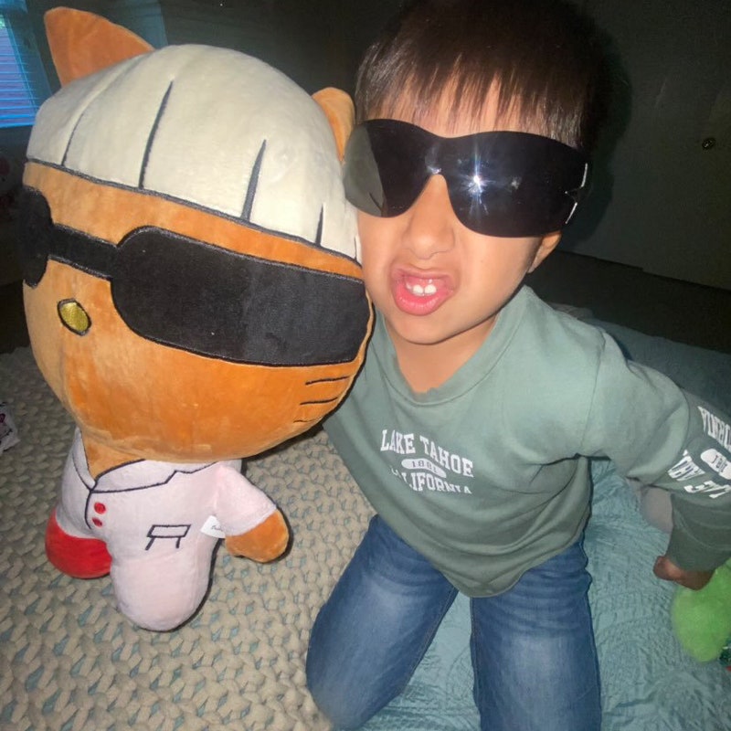 Tyler the Creator Kitty - Etsy