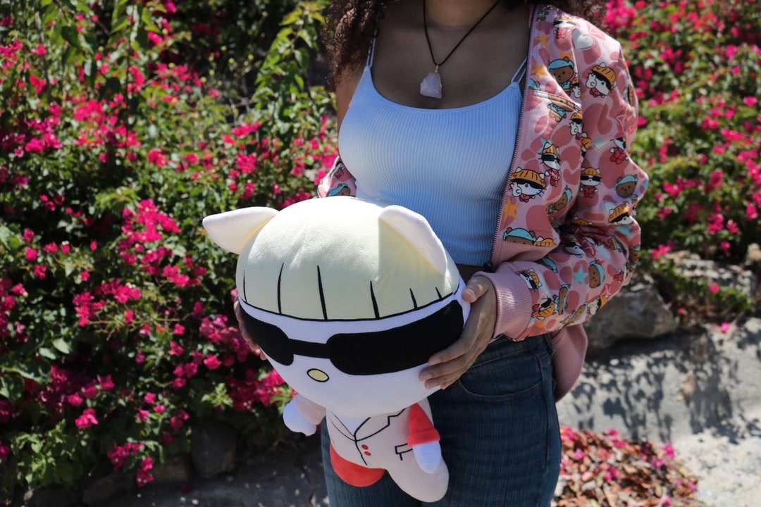 18 Inch Custom Tyler the Creator igor Kitty Inspired Plush Toy, Doll ...