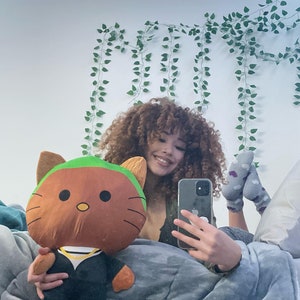 Sza SOS Tour, Sza Hello Kitty, Sanrio Plushie, Kawaii Plush, Kill Bill ...