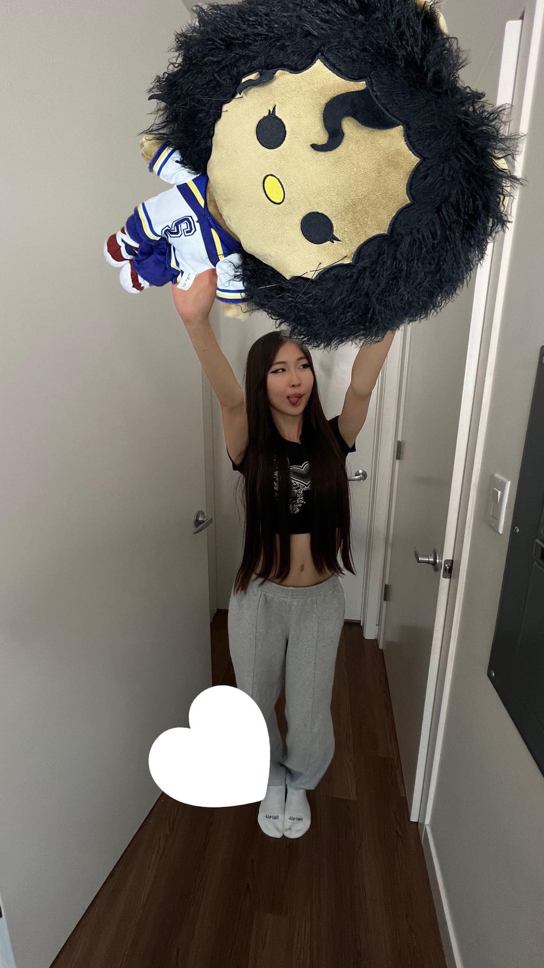 SZA Halftime Show Superbowl 2025, SZA Super Bowl, Artist Plush - Etsy