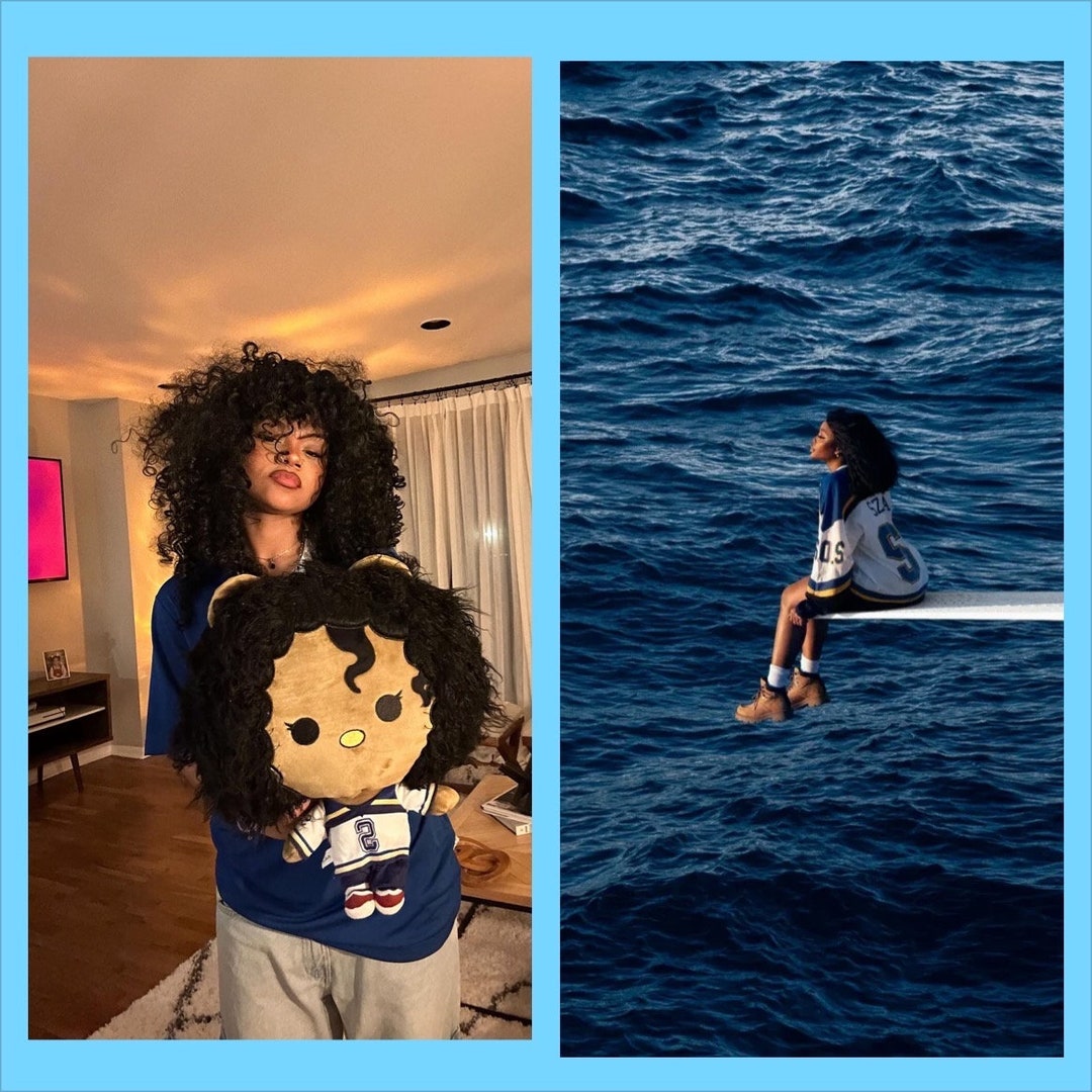 Custom Singer 18 Inch Sza S.O.S Kitty Plush Toy, Celebrity Amigurumi ...