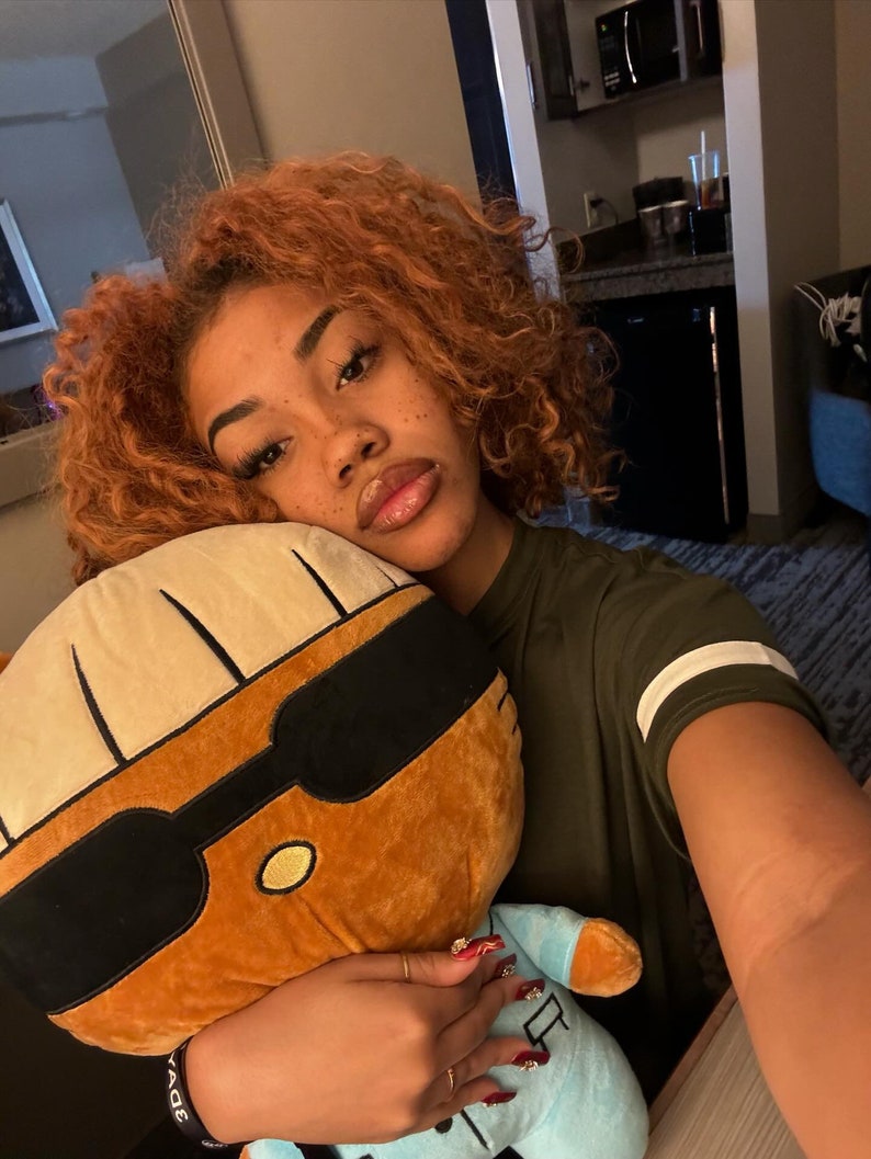 Tyler the Creator igor Brown V2 Kitty Plush Toy, 18 Inch Kitty Bear ...