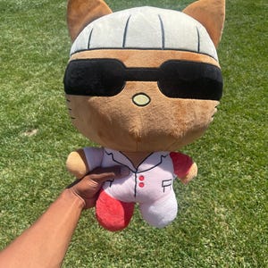 Tyler the Creator, Hello Kitty Plushie, Kawaii Plush, Igor Merch - Etsy