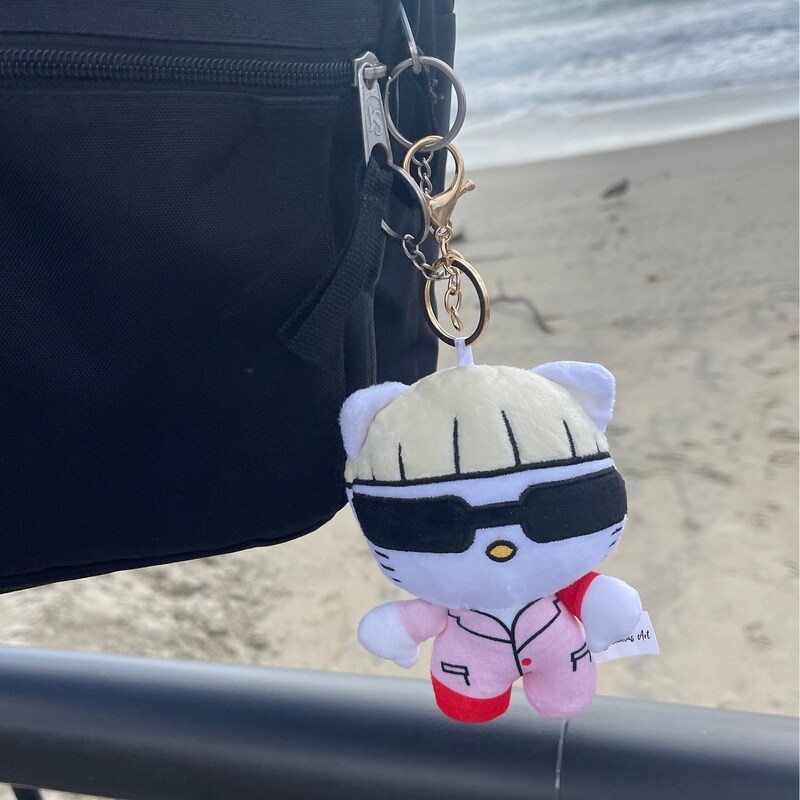 Tyler the Creator Kitty - Etsy