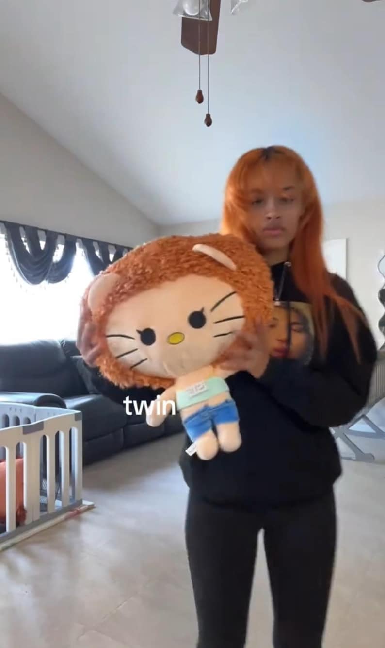 Ice Spice Sanrio Plush, Munch Hello Kitty, Ice Spice Kawaii Plushie ...