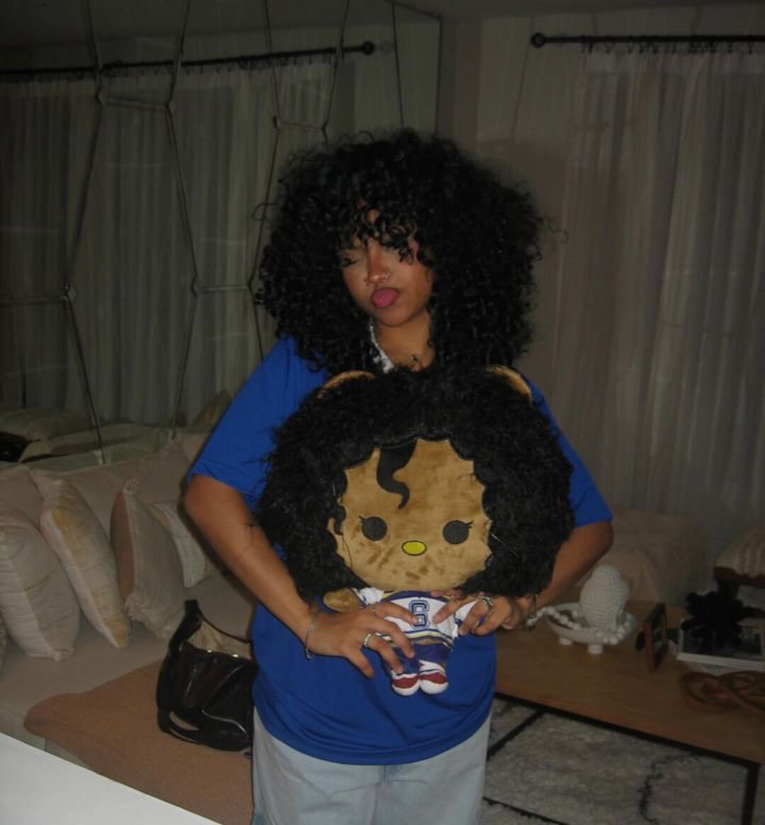 Sza Saturn Stuffy, Sza Good Days Plushie Merch, Sza SOS Tour Kitty 2024 ...