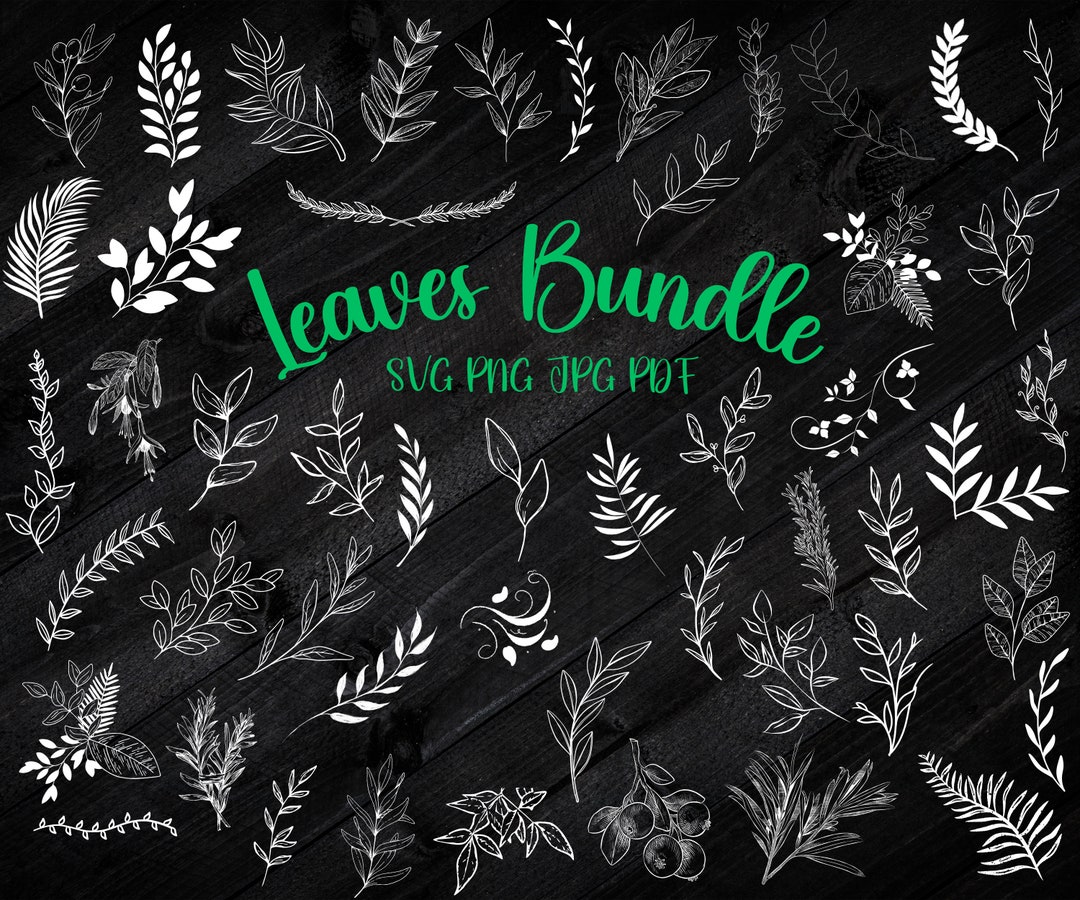 50 Leaves SVG Bundle, Hand Drawn Leaves SVG, Plant Svg, Paper Leaves ...