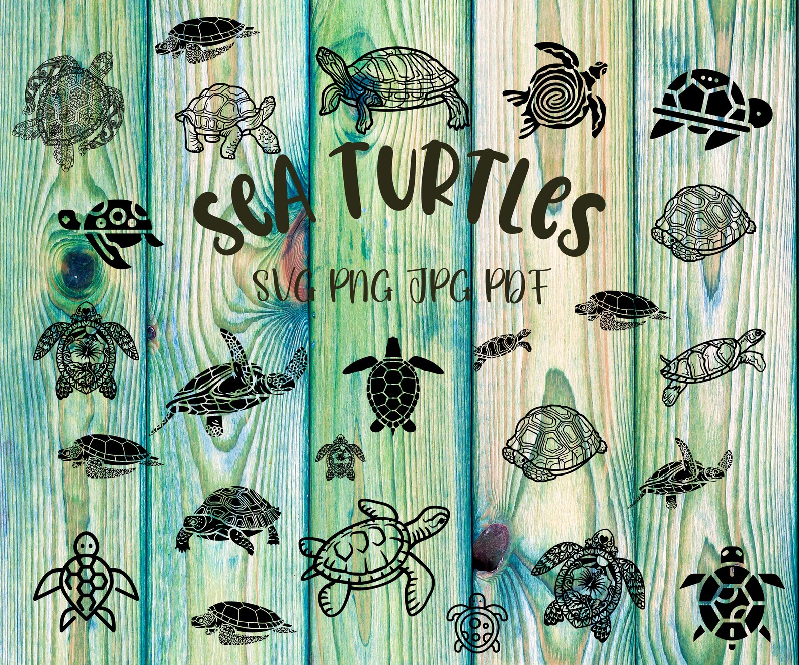Sea Turtle SVG Bundle, Beach SVG , Sea Turtle Png, Floral Turtle Svg ...