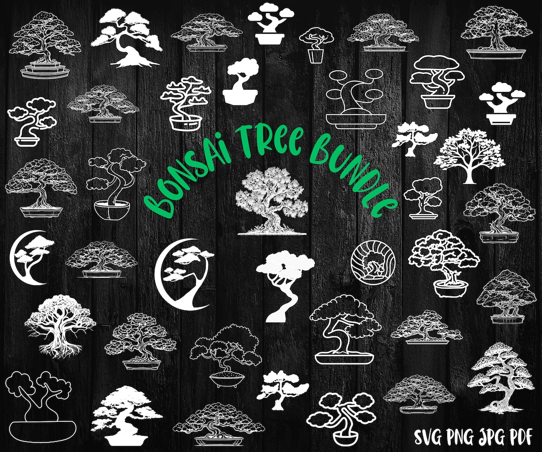 Bonsai SVG Bundle, Japanese Bonsai Tree Bundle, Japan Clip Art Image ...