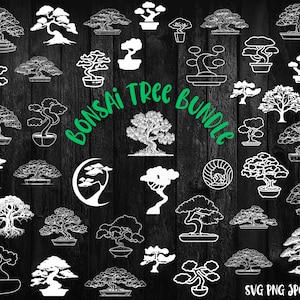 Bonsai SVG Bundle, Japanese Bonsai Tree Bundle, Japan Clip Art Image ...